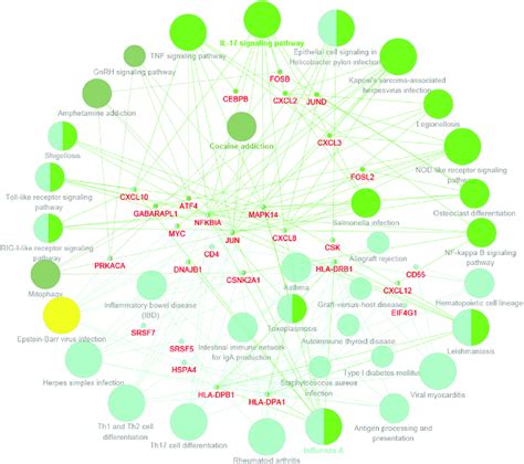 Pathways Interrelation Analysis Functional Distribution Of Pathways