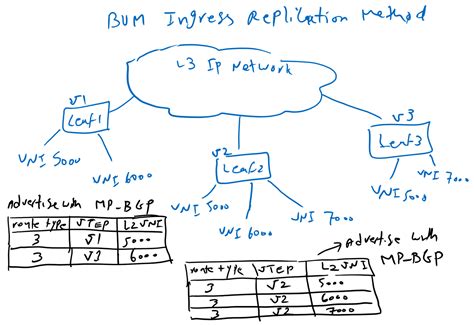 4 Vxlan Evpn Bum Traffic Handling Route Type 3 Rayka Are You A Network Engineer