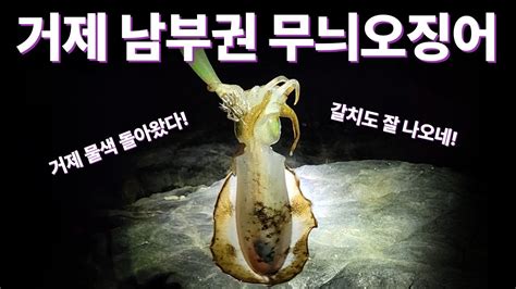 거제 도보권 갯바위 무늬오징어 잡으러 가자🦑 Youtube