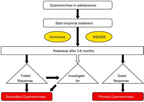 Dysmenorrhea Management Algorithm Download Scientific Diagram
