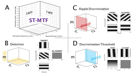 Overview Of The Present Study A Spectral Temporal And Download Scientific Diagram