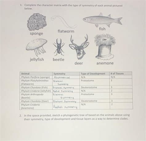 Solved 1 Complete The Character Matrix With The Type Of