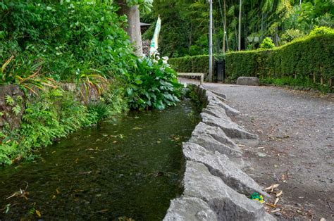 東京に残る原風景 自然を感じる史跡が残る街国分寺の魅力スポット殿ヶ谷戸庭園と真姿の池 Sweetmap