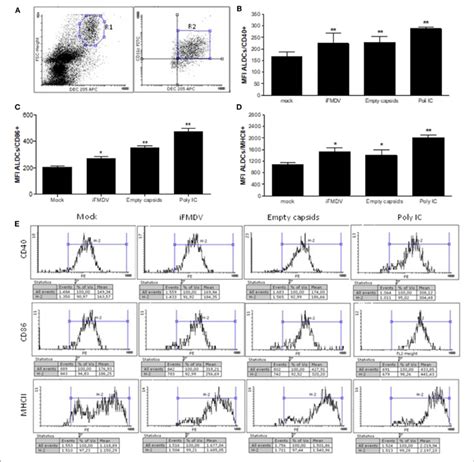 Surface Expression Of Cd40 Cd86 And Mhcii Co Stimulatory Molecules