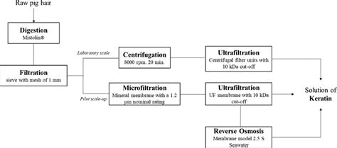 Schematic Representation Of The New Extraction Method Developed At