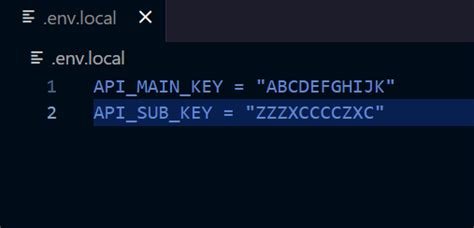 nextjs env local 사용해서 중요 변수 숨기기 feat api key