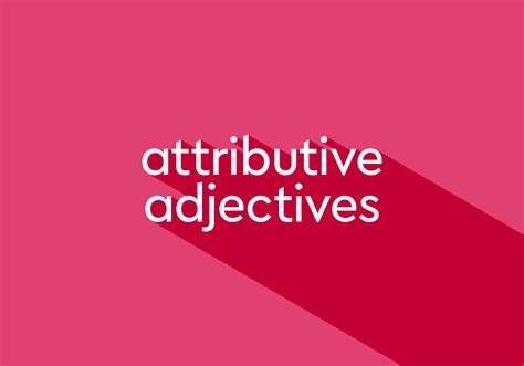What Is An Attributive Adjective Thesaurus Com