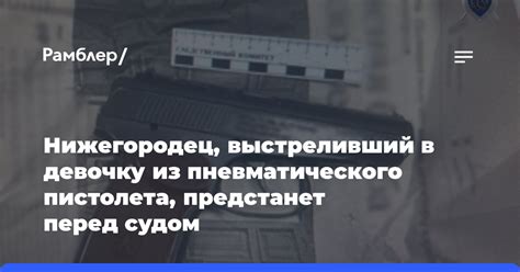 Нижегородец выстреливший в девочку из пневматического пистолета предстанет перед судом