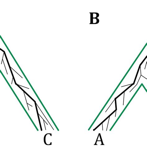 The Multispecies Coalescent On Trees And Networks A The Multispecies Download Scientific