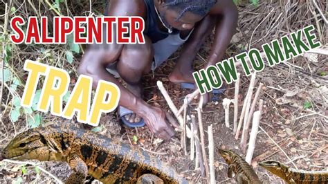 How To Make A Salipenter Trap In Guyana Beze Hunting Youtube