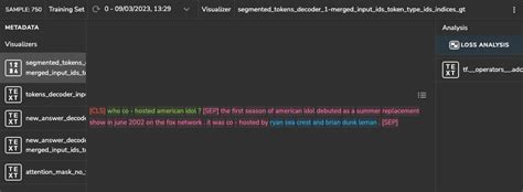 Applied Explainability For Natural Language Processing Models Tensorleap