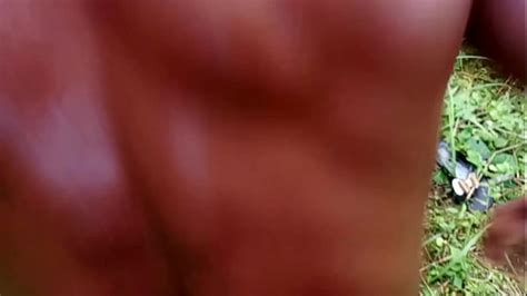 African Pygmy Search Xnxx Com