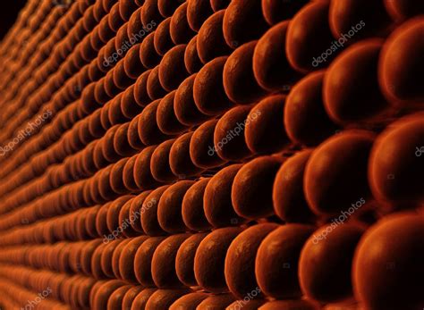 Plasma Membrane Of A Cell Stock Photo Vjanez