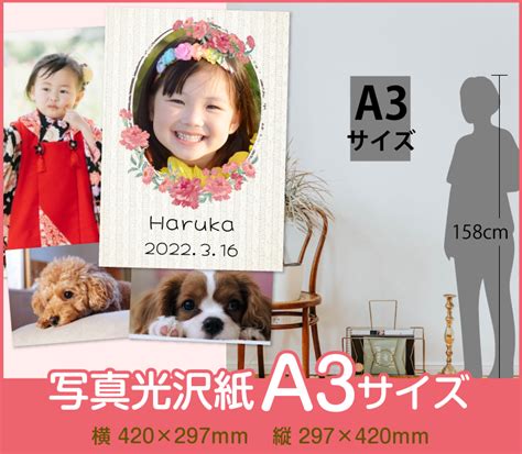 写真光沢紙ポスター印刷a3サイズ｜ ポスター印刷専門店