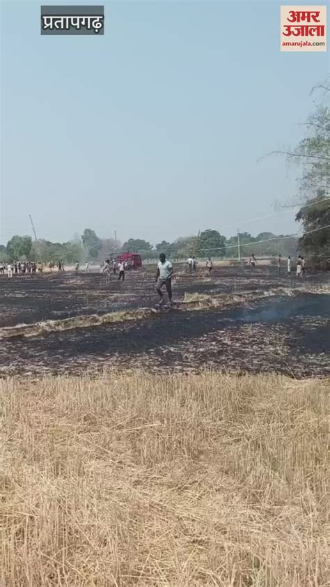 गेहूं के खेत में लगी भीषण आग कई बीघे गेहूं की फसल जलकर राख A Huge Fire Broke Out In A Wheat