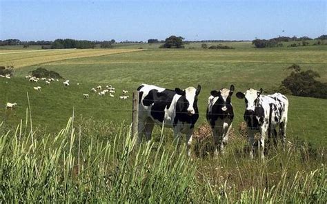 Россельхознадзор обследовал более 1 4 млн га земель сельхозназначения