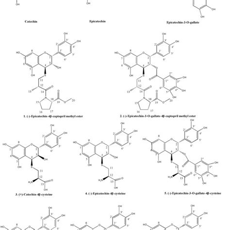 Structures Of Catechin Epicatechin Epicatechin 3 O Gallate And Eight