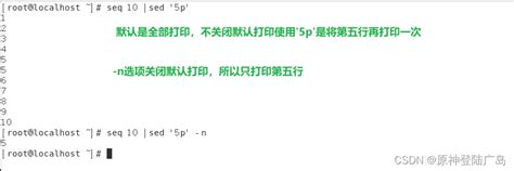 Shell脚本——文件三剑客之sedshell脚本sed Csdn博客