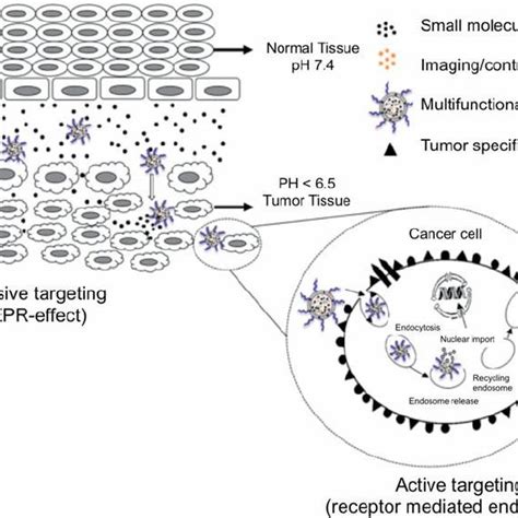 Figure No 66 Chemical Structure Tween 80 Download Scientific Diagram
