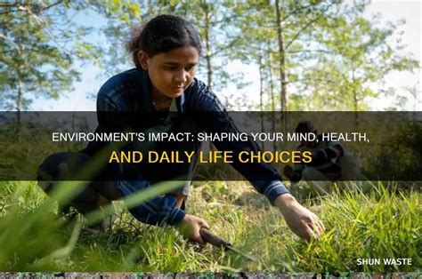 Environments Impact Shaping Your Mind Health And Daily Life Choices