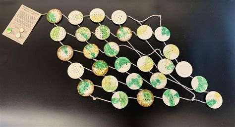 Tanvi Dev Saic Graduate Exhibition 2024