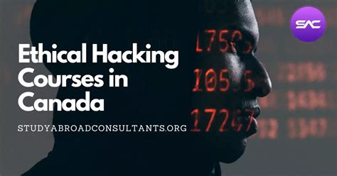 Best Ethical Hacking Courses In Canada No1 Abroad Consultants