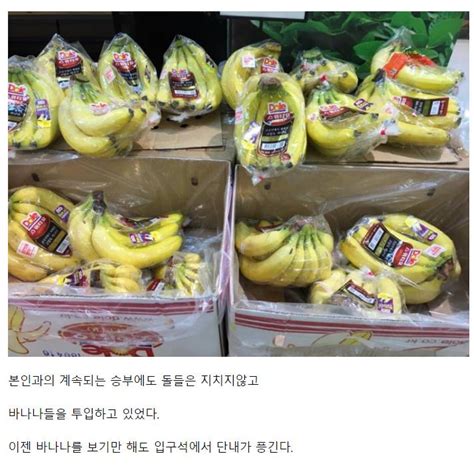 억울한 맛집 블로거의 이벤트 도전기 ㅋㅋㅋㅋㅋ 인스티즈 Instiz 이슈 카테고리