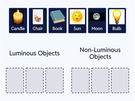 Luminous And Non Luminous Objects Group Sort