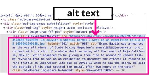 Html Image Alt Text
