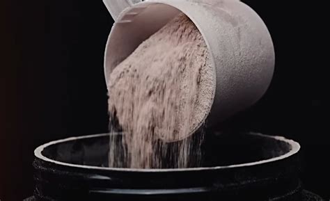 시스토리 단백질 보충제 추천 및 종류