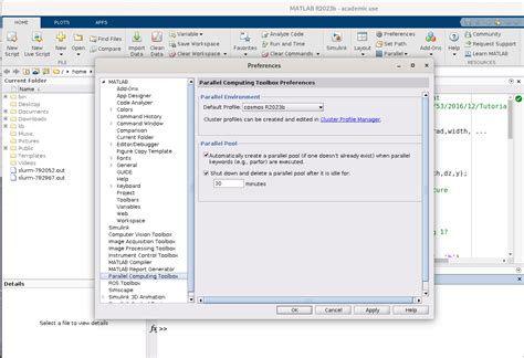 Matlab Lunarc Documentation
