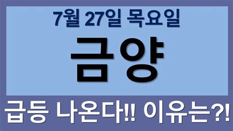 주식 주식전망 금양 집중 지금 기회인 이유 Youtube