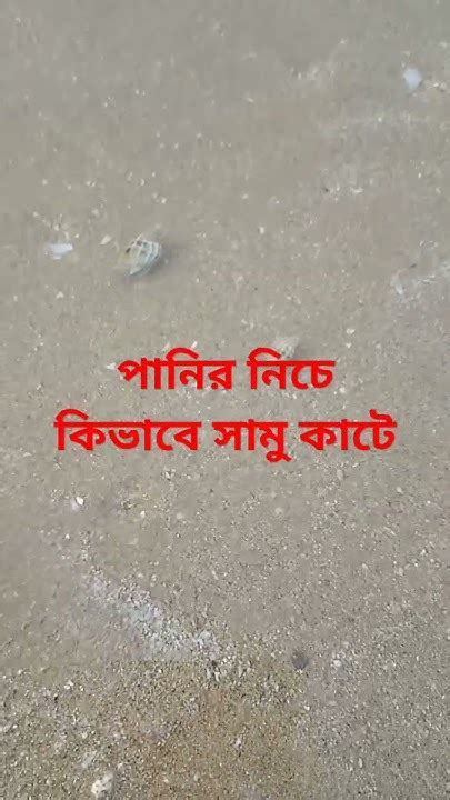 পানির নিচে কিভাবে সময় কাটে Shortvideo Youtube