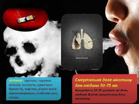 Вплив куріння та алкоголю на здоров я Ми проти