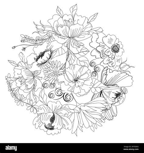 Sketch Bloom Stock Vector Images Alamy