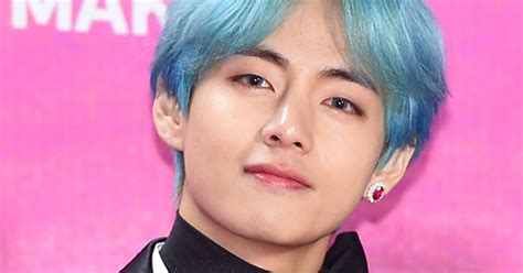 서진이네 측 방탄소년단 뷔 출연 방송 통해 확인 부탁 공식입장