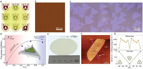 The Step‐guided Epitaxial Growth Of 2d Semiconducting Tmdcs Single