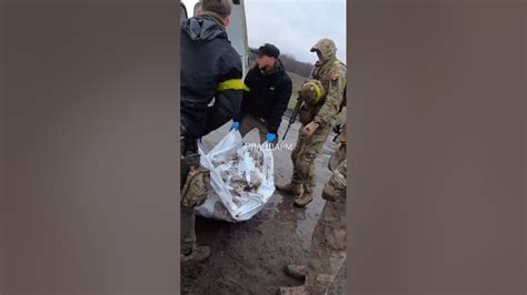 ПОШУК ЗАГИБЛИХ ТА ЗНИКЛИХ БЕЗВІСТИ україна дениссосненко Youtube