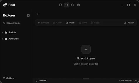Real Executor Executor Luagrátis Para Roblox