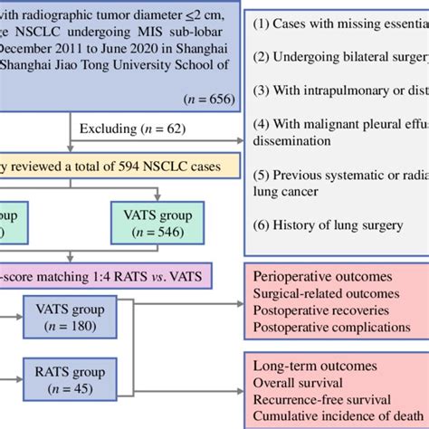 Flow Chart Of Patient Selection Nsclc Non Small Cell Lung Cancer