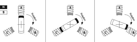 3 Sequence For Synchronous Electromagnetic Field Download Scientific Diagram