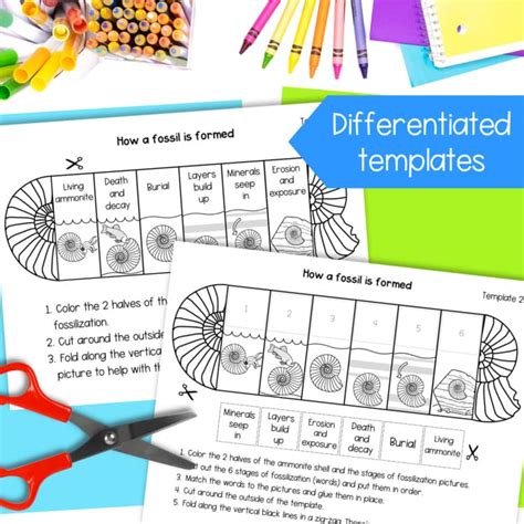 How A Fossil Is Formed Sequence Fold Cut And Paste Craft Activity 3rd 4th Grade