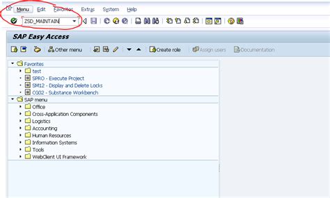 Creating Transaction Code For Maintenance View Update Mode