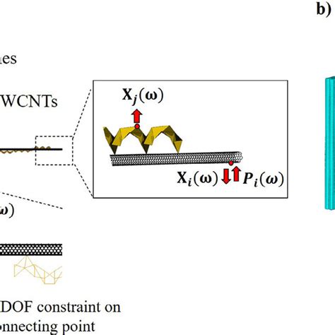 Schematic Arrangement Of Structural Model A Ssdna Swcnts B Lipid Download Scientific