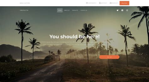 Customizable Vuejs Themes And Tools For Frontend Developers Across The