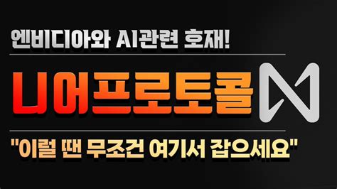 지금 왜 조정이 나오는지 알고 매수하세요 이대로 하면 수익 무조건입니다 니어프로토콜코인 니어프로토콜호재 Youtube