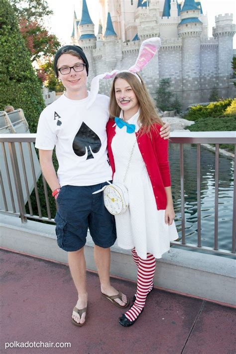 Adult Alice In Wonderland Costume