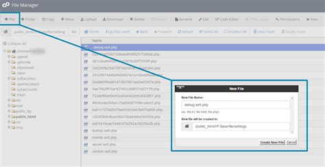 How To Enable Debug Mode In Phpfox V4 Hostiso Advanced Hosting