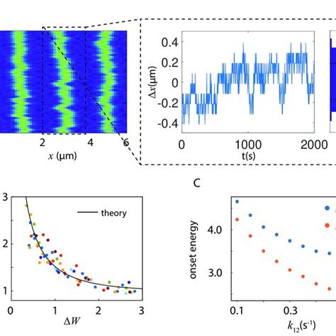 Dependence Of Turing Pattern On Total Molecule Number A Positional Download Scientific