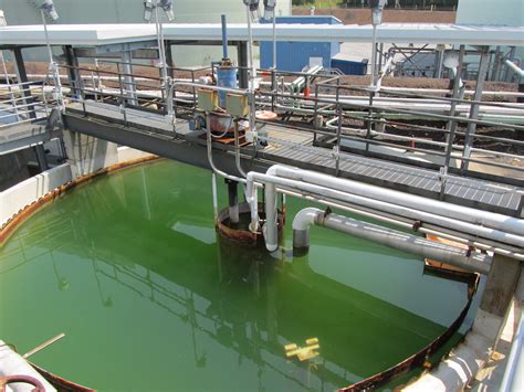 Aquatic Toxicity Testing New England Bioassay